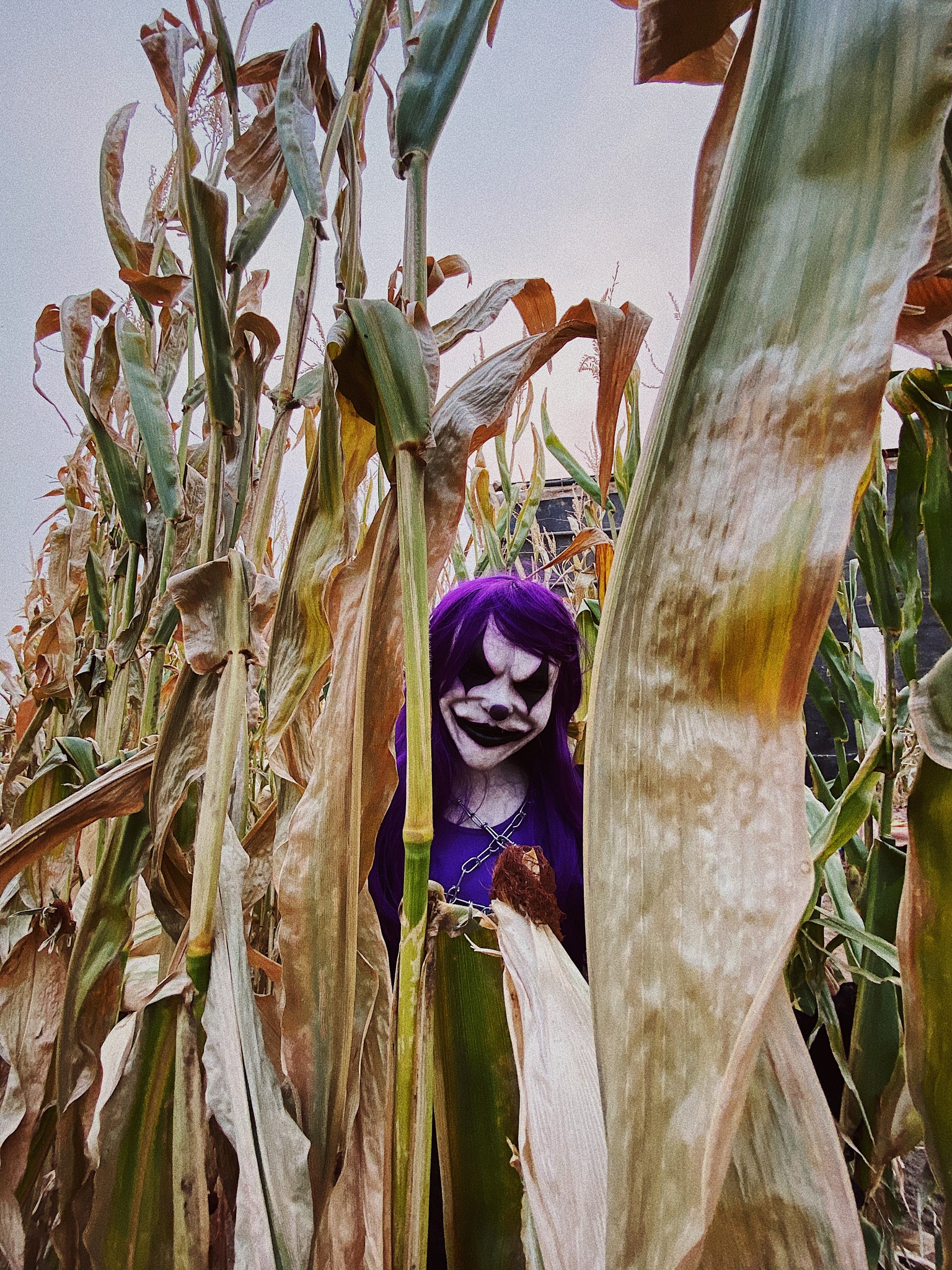 Scream Acres - Beyonk